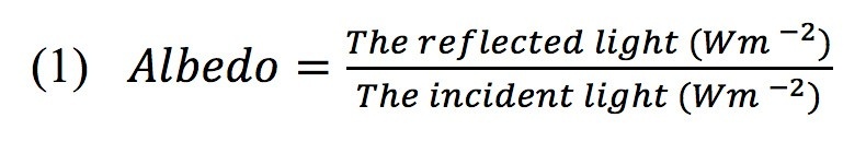 Tree species effects on albedo, soil carbon and nitrogen stocks in a ...
