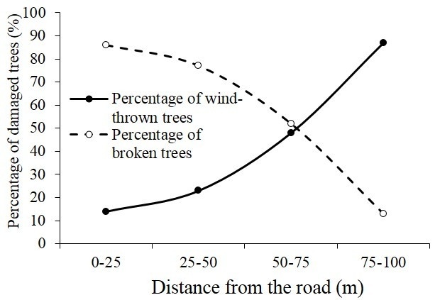 Modeling wind-driven tree mortality