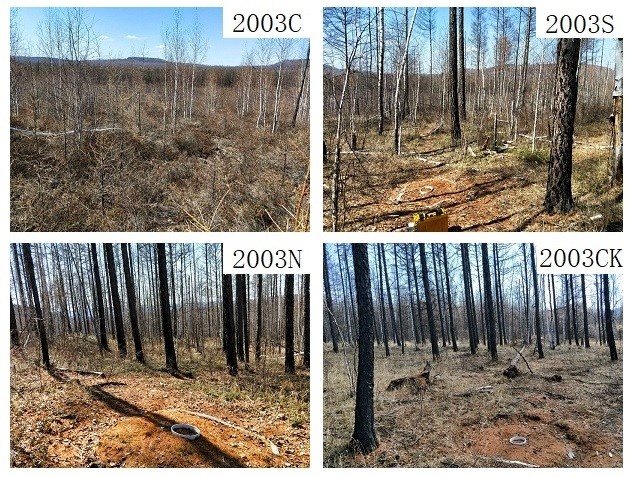 Effects of different management treatments of post-fire soil respiration