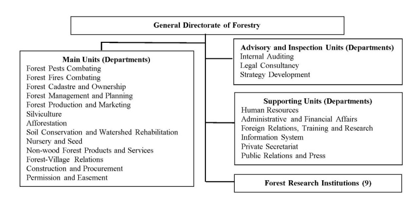 Changes in the working conditions of forest chiefs Turkish Regional ...