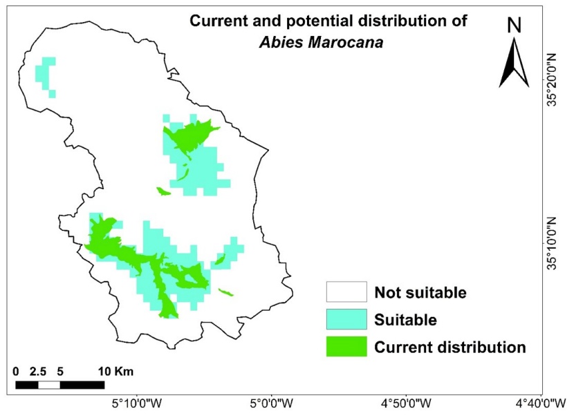 Modelling spatial distribution of endemic Moroccan fir