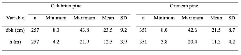 Height–diameter allometry of two commercial pine species