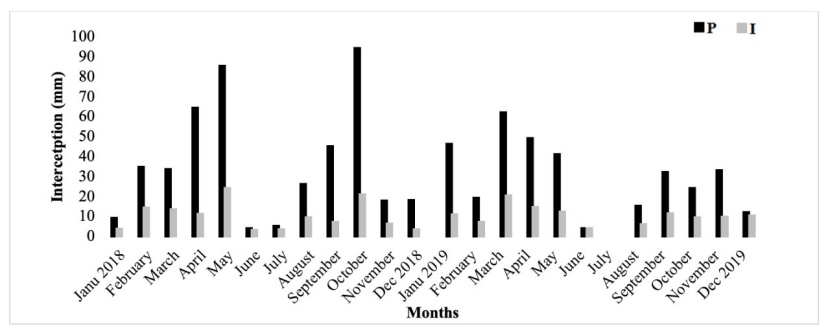 First data on rainfall interception in an Atlas cedar forest (Cedrus ...