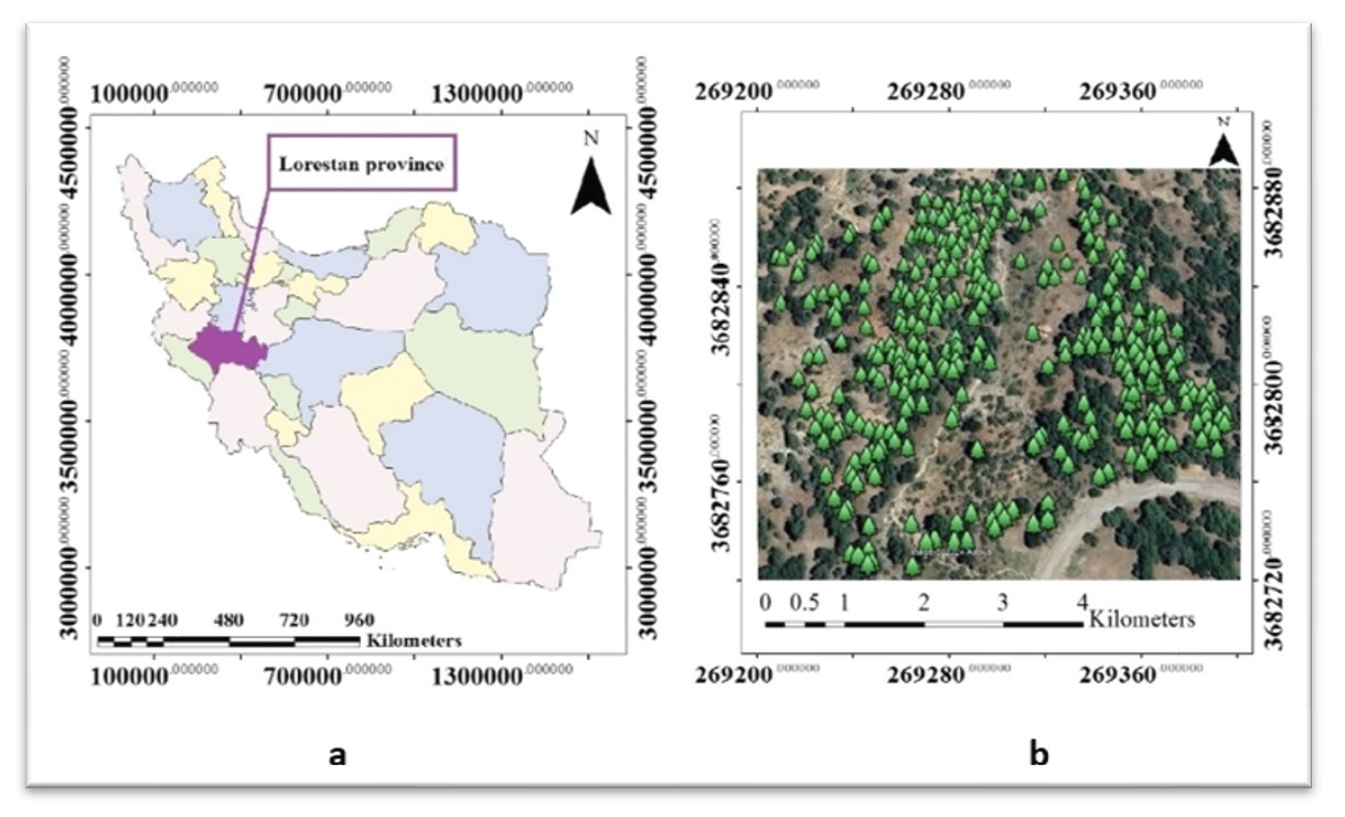 An assessment of the statistical performance of the horizontal point ...
