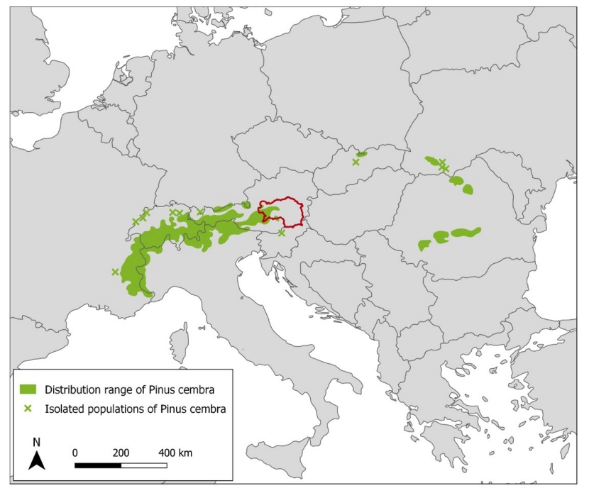Altitudinal distribution of Stone Pine (Pinus cembra L.) in the Styrian ...